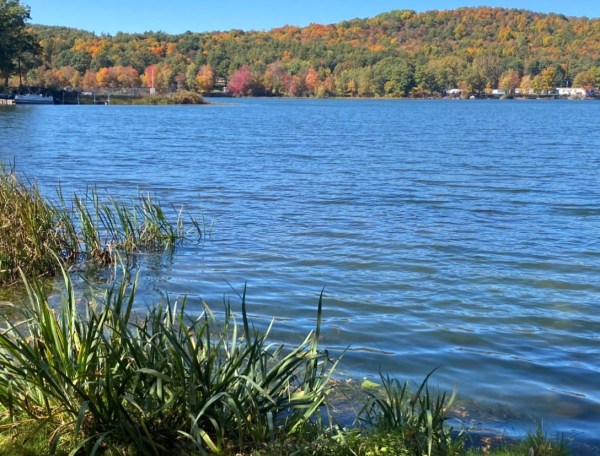 Gallery – CossayunaLake.com
